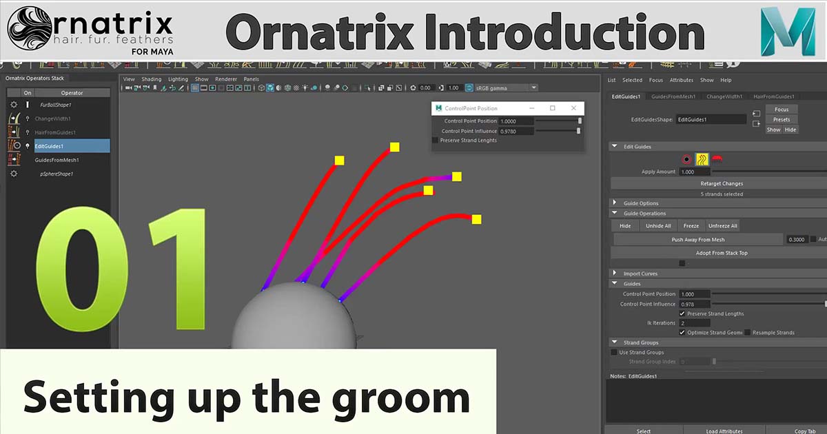 Introduction to Xgen